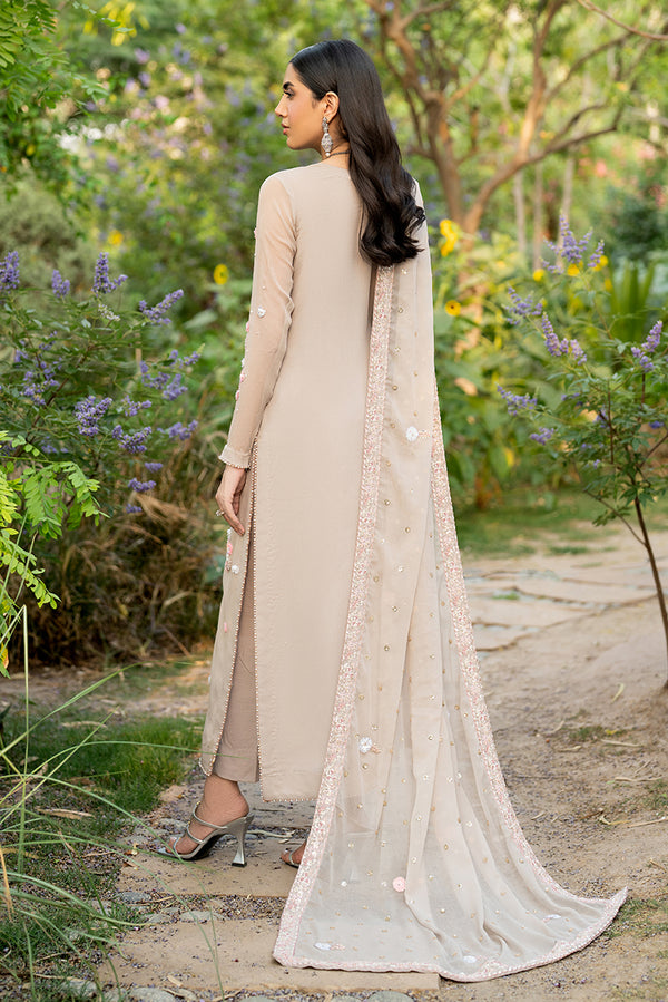 Ladies Ready to Wear Pakistan